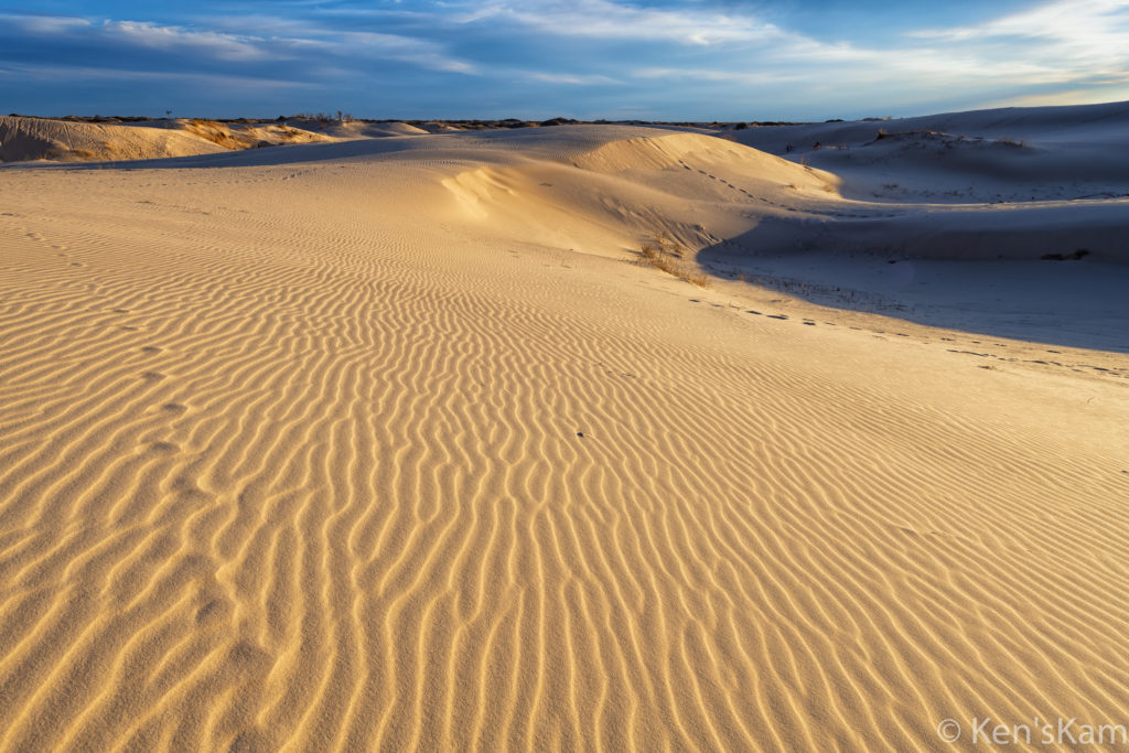 Spring Trip 2019 – Part 1 – Monahans Sandhills State Park, Texas ...