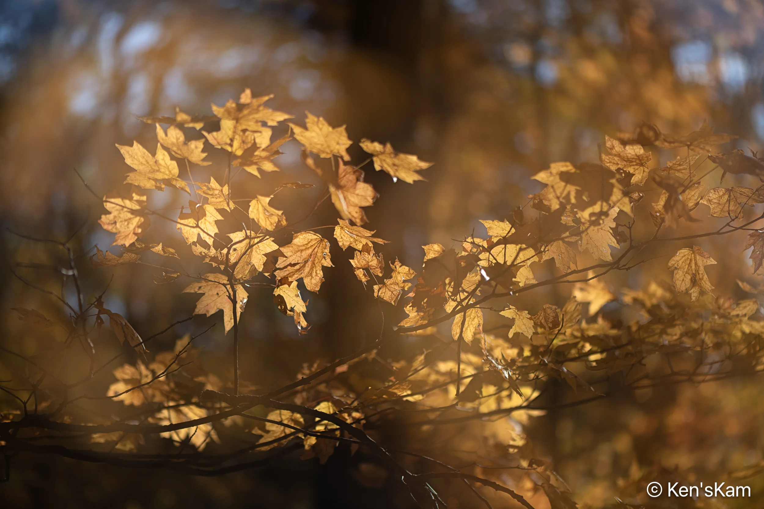 Multiple Exposure Fall – Part 1 – Ken's Photography and Travel Blog