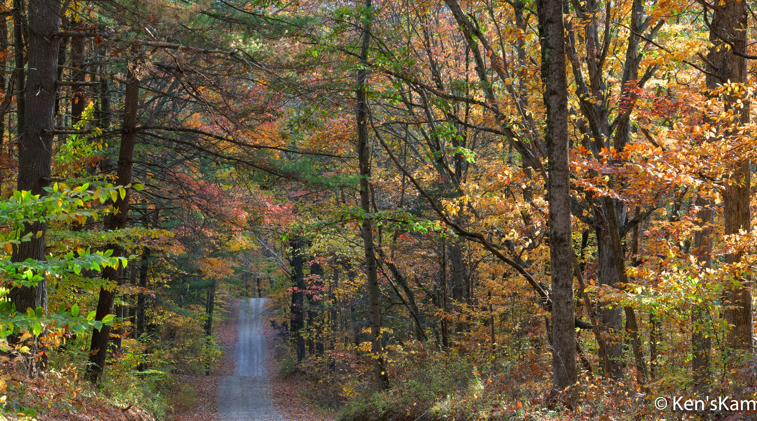 Indiana Fall 2023, Part 15 – Backroads and Forest – Ken's Photography ...