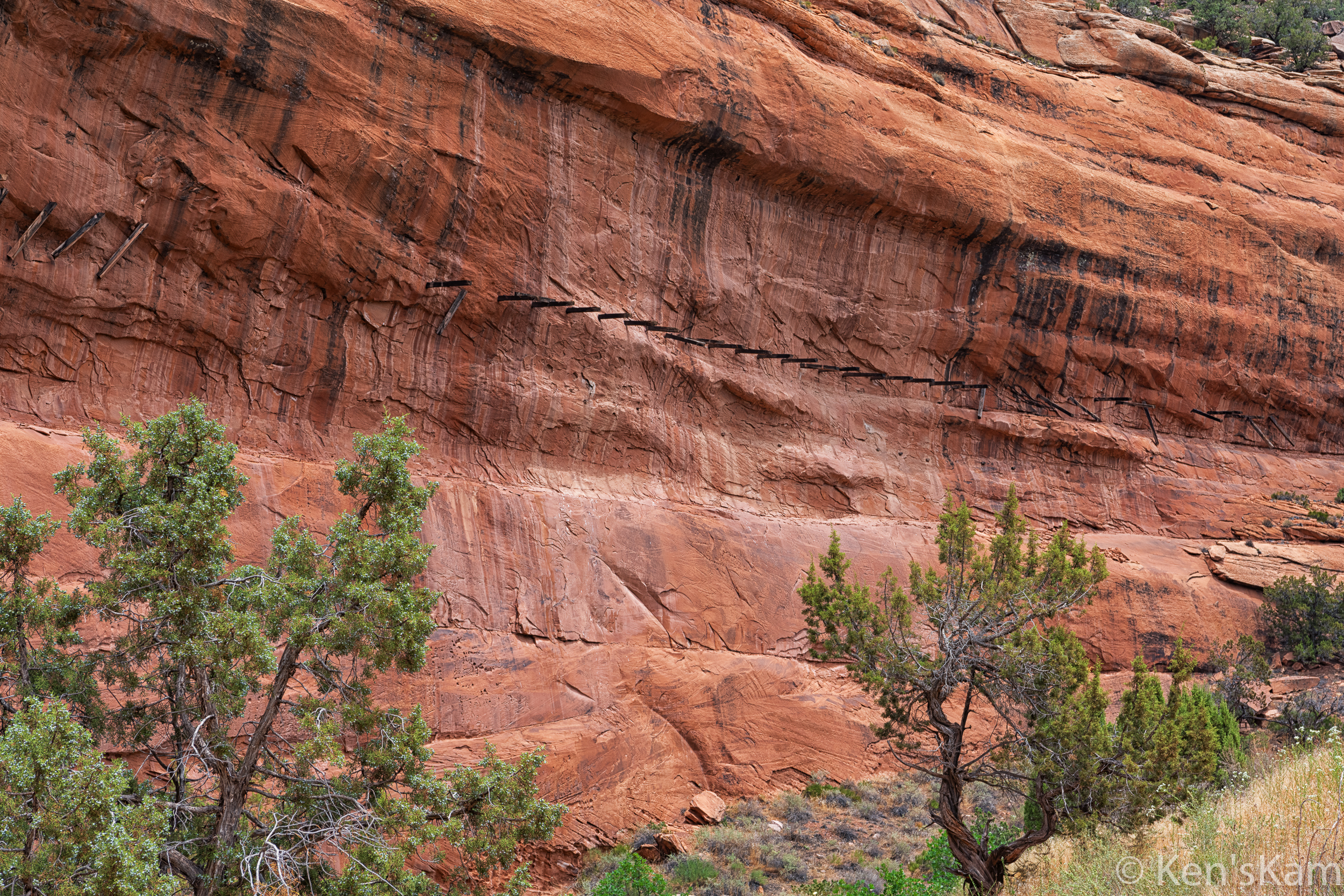 A Mid-Day Side Trip off of Co Route 141, July 2020 – The Hanging Flume ...